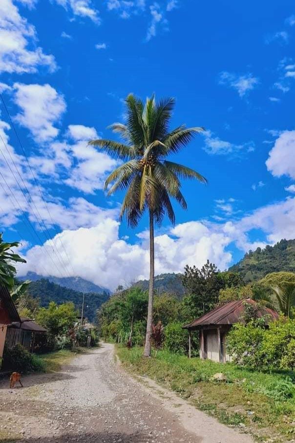 20 palabras en poqomchi’ – aprendeporti